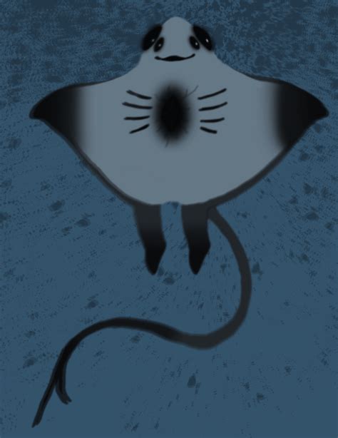 The Phantom Ray on Toyhouse