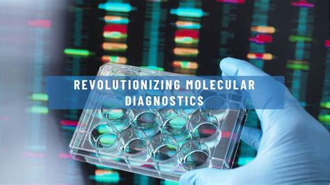 2024 World Molecular Diagnostic Analyzers And Reagents Market