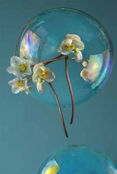 Artists Represented By In Focus Gallery Welcome To In Focus Gallery