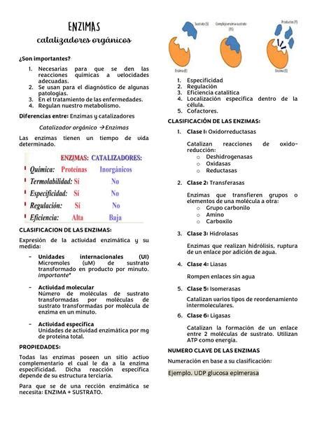 Enzimas Estefanía Lagos uDocz