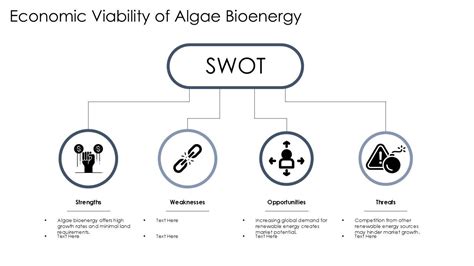 Top 10 Algae Powerpoint Presentation Templates In 2025