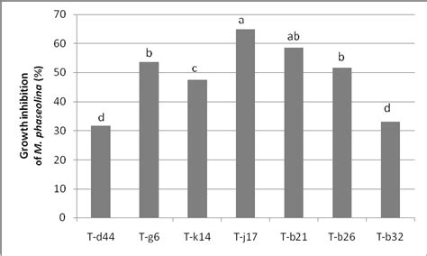 Figure 1 From Biocontrol Of Soybean Charcoal Root Rot Disease By Using