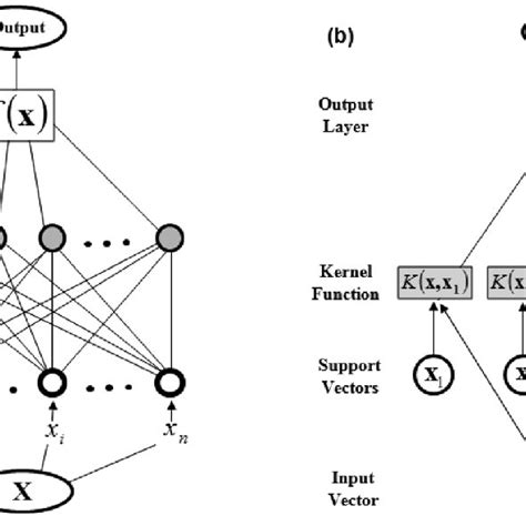 Schematic Diagram Of The Model Structure For A Ann And B Svm Download Scientific Diagram