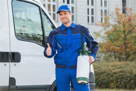 Top Reasons To Choose Pest Control Services In London Pests Of London