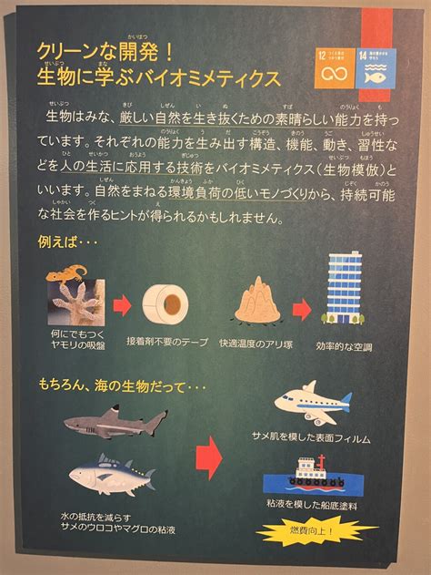 東海大学海洋科学博物館と自然史博物館に行ってきたよ 主婦起業コンサルタント（ママのお仕事をサポートします！）