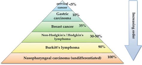 Exosomes As The Promising Biomarker For Epstein Barr Virus Ebv