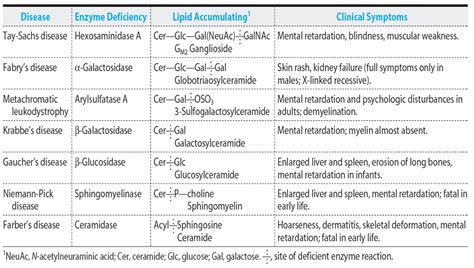 Mbbs Medicine Humanity First Sphingolipidoses Lipid Storage Diseases