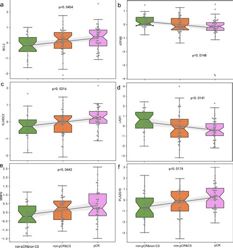 Radiomic Analysis Reveals Diverse Prognostic And Molecular Insights