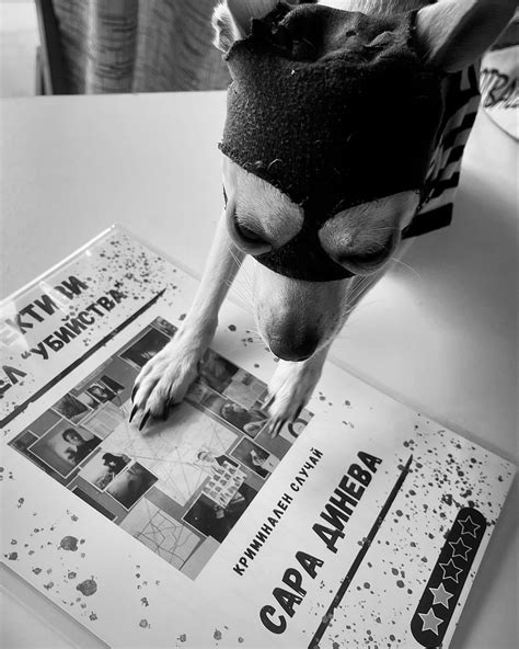 Един от нашите детективи 🐕 🥷🏿е готов с разрешаването на случая а ти