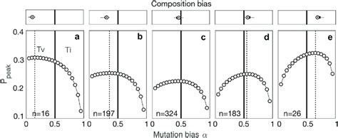 Mutation Bias Interacts With Composition Bias To Influence Landscape