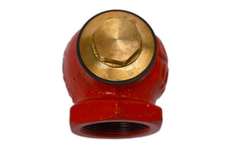 Angular Check Valve MM At Rs Check Valves In Kolkata ID