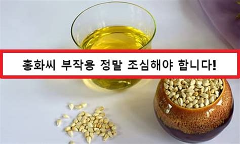 홍화씨 7가지 효능 부작용 먹는법 뼈에 좋은 음식 Gladfit