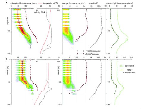 Abundance And Optical Properties Of Prochlorococcus Open Circles Download Scientific