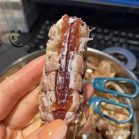 买皮皮虾，看着“鲜活”不一定好！老渔民记住4点，老板没法坑你 知乎
