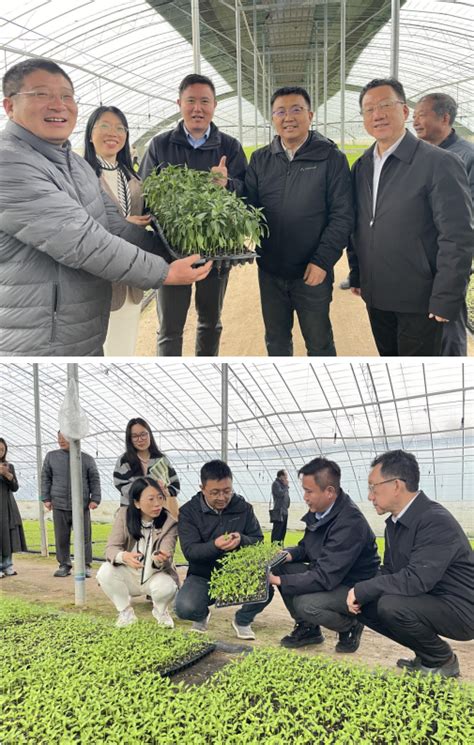 河南省科学技术协会 在线服务平台