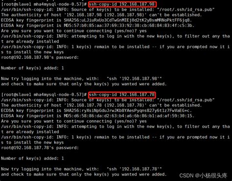 Mha高可用配置及故障切换perllogdispatch Csdn博客
