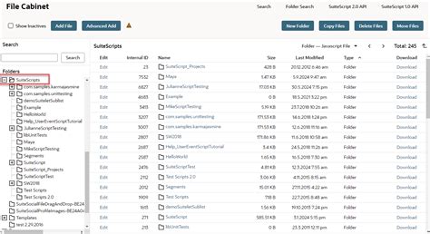 NetSuite Applications Suite Setting Up Your SuiteScript Development