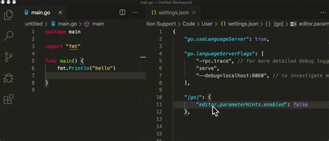 How To Disable Parameter Hints Post Completion When Using Gopls · Issue