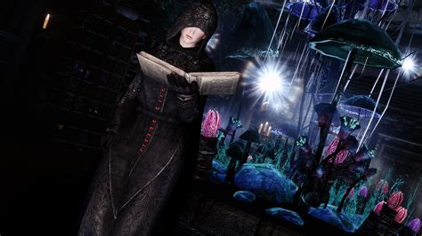 Search Solved Outfit Request And Find Skyrim Non Adult Mods