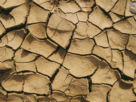 It S World Soil Day Why Is Soil Important And How Can Aquaculture