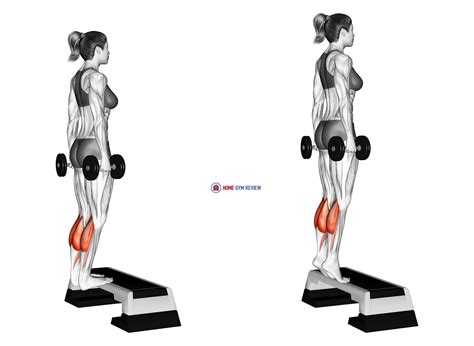 Dumbbell Calf Raises
