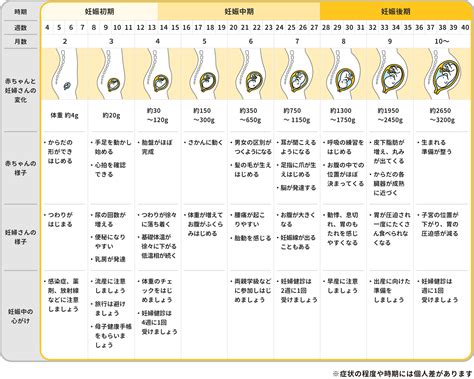 妊娠・出産｜妊娠中の検査に関する情報サイト