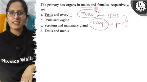 The Primary Sex Organs In Males And Females Respectively Are A T Youtube