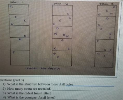 Solved LETTERS ARE Fossils Uestions Part What Is The Chegg Com