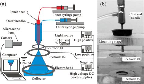 Experimental CES System A Schematic Of The Experimental Setup For Download Scientific