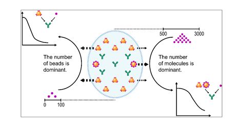 Improved Sensitivity And Wide Range Detection Of Small Analytes Using A Two Antigen Combined