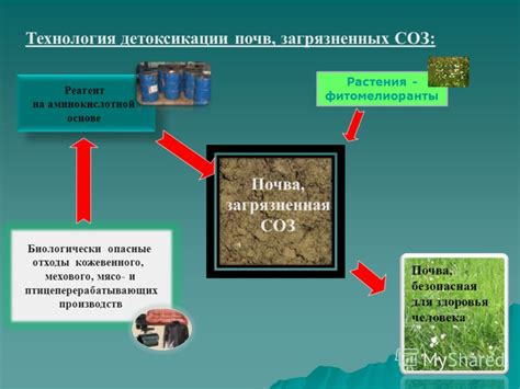 Презентация на тему Аладин Данила Юрьевич Руководитель Севостьянов