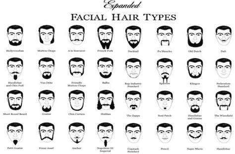 Facial Hair Illustrations And Names For Facial Hair Styles Types Of Facial Hair Mens Facial