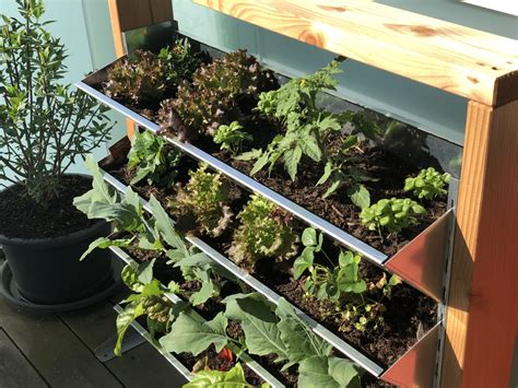Vertikalbeet Gärtnern Mit Wenig Platz Balkon Oase