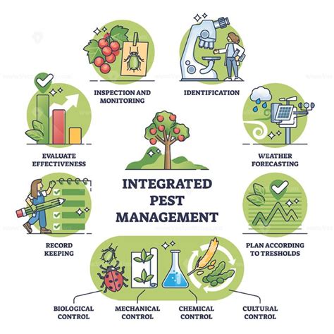 Integrated Pest Management As Sustainable Crop Protection Outline Diagram Vectormine