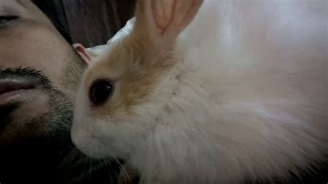 Bunny Sleep With Eyes Open Wants Kisses Youtube