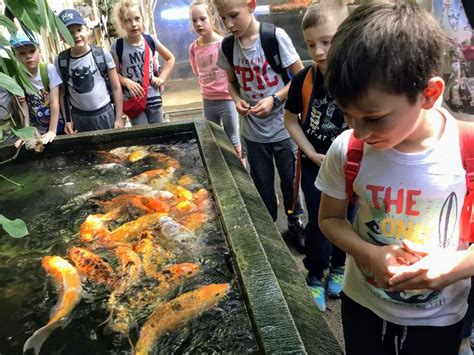 Muzeum Czekolady Oraz Wystawa Motyli SP NT