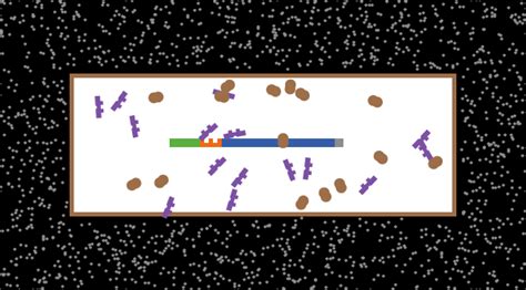 Genevo Curriculum Project Netlogo Modeling Commons
