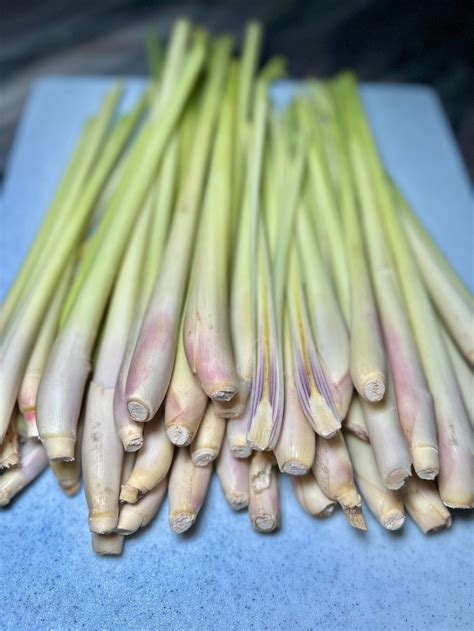 A Zesty Lemongrass Paste Recipe Growing And Cooking With Lemongrass