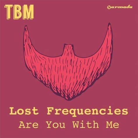Lost Frequencies Are You With Me Top 40