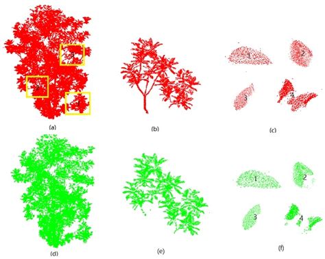 Remote Sensing Free Full Text Estimating Leaf Area Density Of Individual Trees Using The