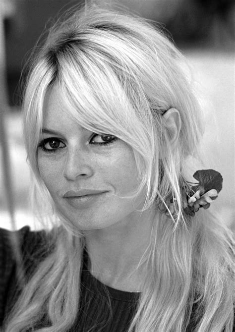 Brittany Bardot фото