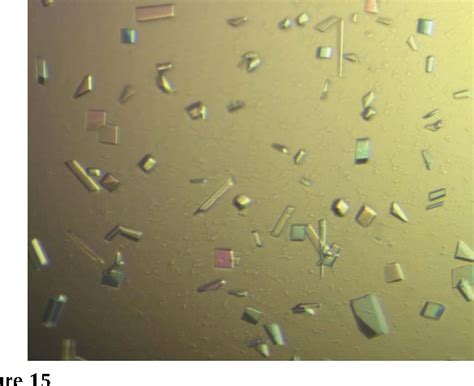 Figure 1 From Biological Crystallography Crystallization Of Protein