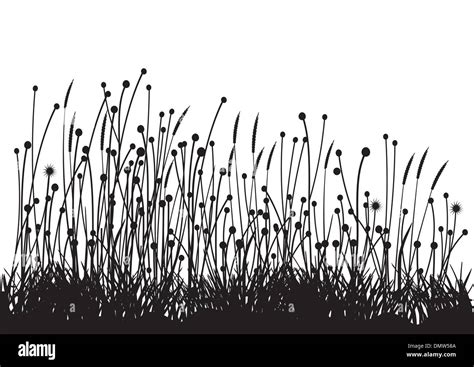 Grasses Stock Vector Images Alamy