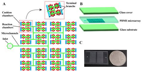 Schematic Of Self Priming Dpcr Chip With Cushion Chambers A