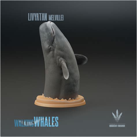 Walking Whales Campaign Myminifactory