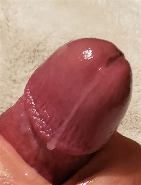 Before The Cumor Precum Page 13 Xnxx Adult Forum