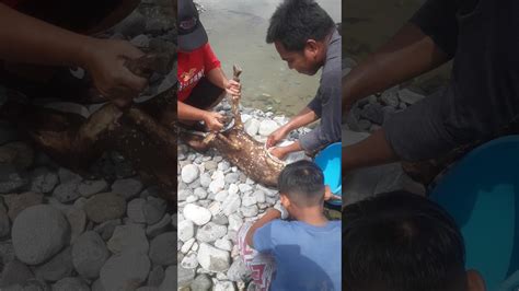 Laba Sa Ilog Part1 Youtube