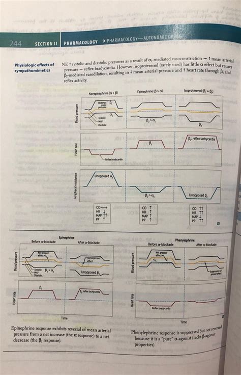 Help Can Someone Please Explain These 😭 Rstep1