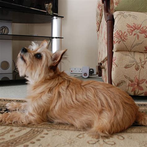 Advanced Pest Repeller Brunnings