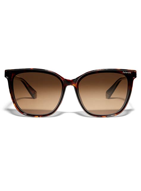 Womens Cat Eye Sunglasses Simons Canada